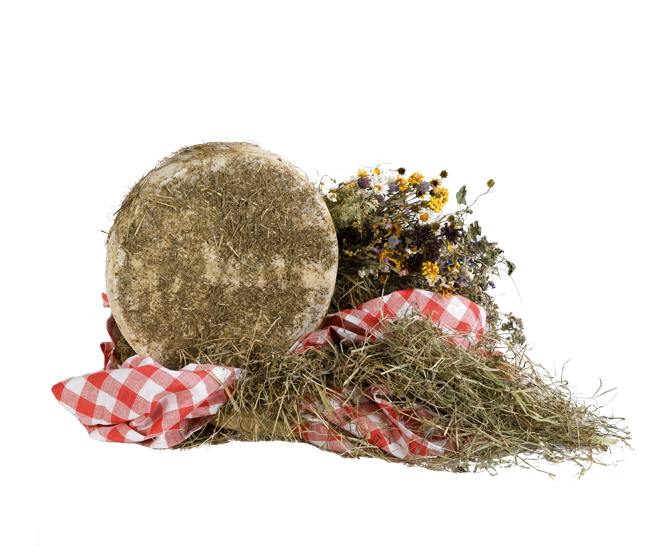 Formaggi veneti: produzione formaggi tipici veneti | Veneto Formaggi